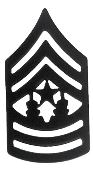 E-9 Command Sergeant Major (CSM) Pin ASU | Star Military Supply